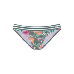 Venice Beach Bikini Bottoms 'Summer' female Green size 42
