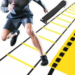 SBJ Agility-Slalom
