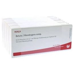 Dr. Hauschka Betula/Mandragora comp.Ampullen 50X1 ml