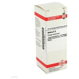 DHU-Arzneimittel Arnica C 6 Dilution 20 ml