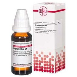 DHU-Arzneimittel Bryophyllum D 6 Dilution 20 ml