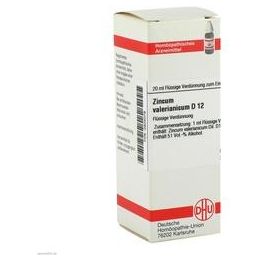DHU-Arzneimittel Zincum Valerianicum D 12 Dilution 20 ml