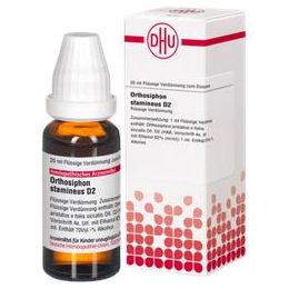 DHU-Arzneimittel Orthosiphon Stamineus D 2 Dilution 20 ml