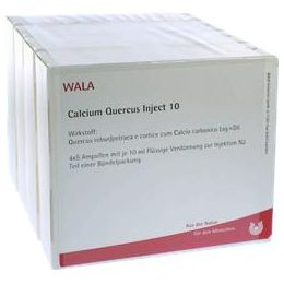 Dr. Hauschka Calcium Quercus Inject Ampullen 20X10 ml