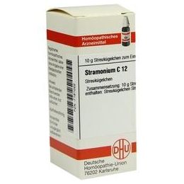 DHU-Arzneimittel Stramonium C 12 Globuli 10 g