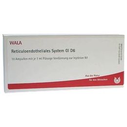 Dr. Hauschka Reticuloendotheliales System GL D 6 Ampullen 10X1 ml