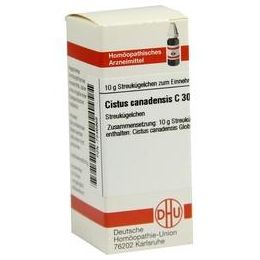 DHU-Arzneimittel Cistus Canadensis C 30 Globuli 10 g