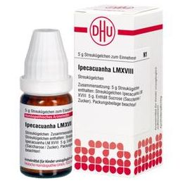 DHU-Arzneimittel Ipecacuanha LM Xviii Globuli 5 g