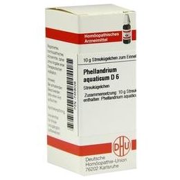 DHU-Arzneimittel Phellandrium Aquaticum D 6 Globuli 10 g