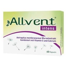 Allvent intens Kapseln 60 St