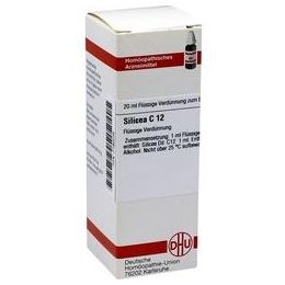 DHU-Arzneimittel Silicea C 12 Dilution 20 ml