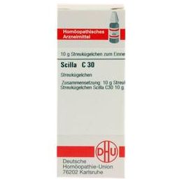 DHU-Arzneimittel Scilla C 30 Globuli 10 g