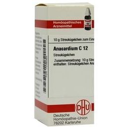 DHU-Arzneimittel Anacardium C 12 Globuli 10 g