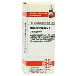 DHU-Arzneimittel Marum Verum C 6 Globuli 10 g