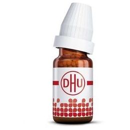 DHU-Arzneimittel Allium Sativum D 12 Globuli 10 g