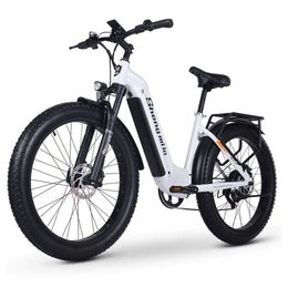 DOTMALL E-Bike Shengmilo MX06 17.5AH Samsung Akku 500W