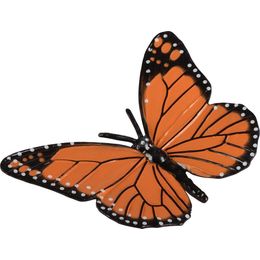 Eduplay Experimentierkasten Lebenszyklen Schmetterling