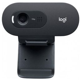 Logitech Logitech C505e - 1280 x 720 Pixel