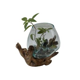 Casa Moro Dekovase Glasvase auf Wurzelholz aus Recycling Glas Ø 18cm & Teak Wurzel (einzigartige Glas Vase auf Wurzel Holz Wohn Deko