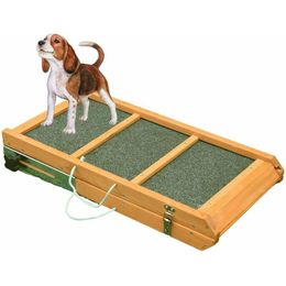Coemo - Hunde Rampe klappbar Aufstiegshilfe für Haustiere - Anti-Rutsch-Belag - Grün