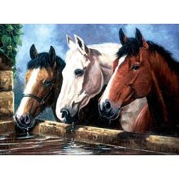 PRACHT® Creatives Malen-nach-Zahlen trinkende Pferde mehrfarbig