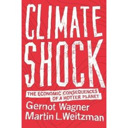 Princeton University Press Climate Shock - Gernot Wagner, Martin L. Weitzman, Kartoniert (TB)