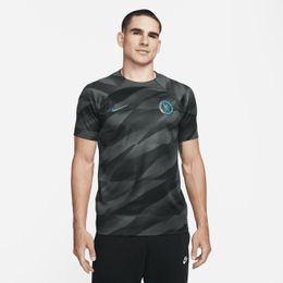 Chelsea FC 2023/24 Stadium Goalkeeper Nike Dri-FIT Kurzarm-Fußballtrikot für Herren - Grau