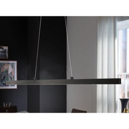 Fischer und Honsel Led Pendelleuchte orell Anthrazit dimmbar & ausziehbar 110-140cm lang