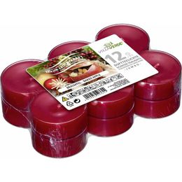 Duftteelichter Jumbo Bratapfel, h 2,3 cm, ø 5,6 cm , 12 er Pack Duftteelichte - Villa Verde