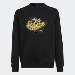 Adidas Graphic Sweatshirt