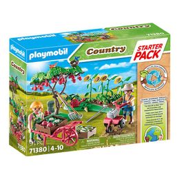Playmobil 71380 Starter Pack Bauernhof Gemüsegarten Spielset, Mehrfarbig