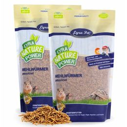 LYRA PET - 2 x 1 kg ® Mehlwürmer getrocknet