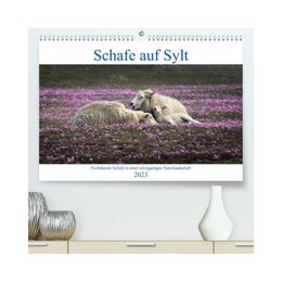 Calvendo Wandkalender Schafe auf Sylt (Premium