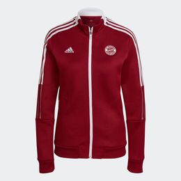 Adidas FC Bayern München Tiro Anthem Jacke