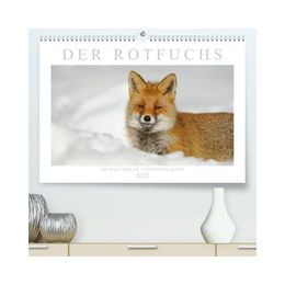 Calvendo Wandkalender Der Rotfuchs (Premium