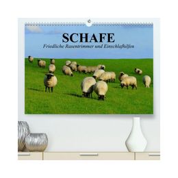 Calvendo Wandkalender Schafe. Friedliche Rasentrimmer und Einschlafhilfen (Premium