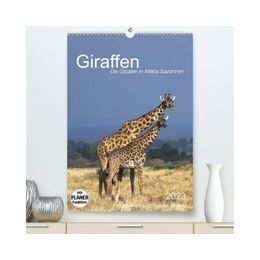 Calvendo Wandkalender Giraffen