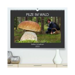 Calvendo Wandkalender PILZE IM WALD (Premium