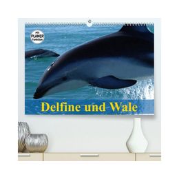 Calvendo Wandkalender Delfine und Wale (Premium
