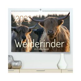 Calvendo Wandkalender Weiderinder im Frankenwald (Premium