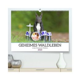 Calvendo Wandkalender Geheimes Waldleben (Premium