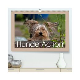 Calvendo Wandkalender Hunde Action (Premium