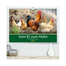 Calvendo Wandkalender Vom Ei zum Huhn. Die Entwicklung von Küken (Premium