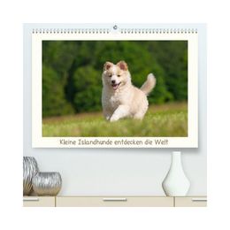 Calvendo Wandkalender Kleine Islandhunde entdecken die Welt (Premium