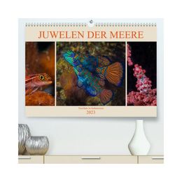 Calvendo Wandkalender Juwelen der Meere (Premium
