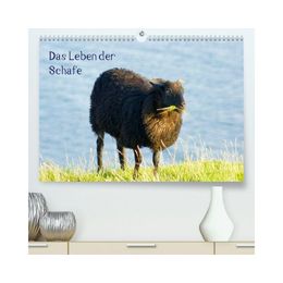 Calvendo Wandkalender Das Leben der Schafe (Premium