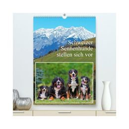 Calvendo Wandkalender Schweizer Sennenhunde stellen sich vor (Premium