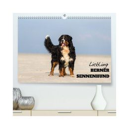 Calvendo Wandkalender Liebling BERNER SENNENHUND (Premium