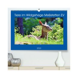 Calvendo Wandkalender Tiere im Wildgehege Meßstetten EV (Premium