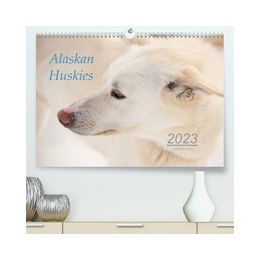 Calvendo Wandkalender Alaskan Huskies (Premium